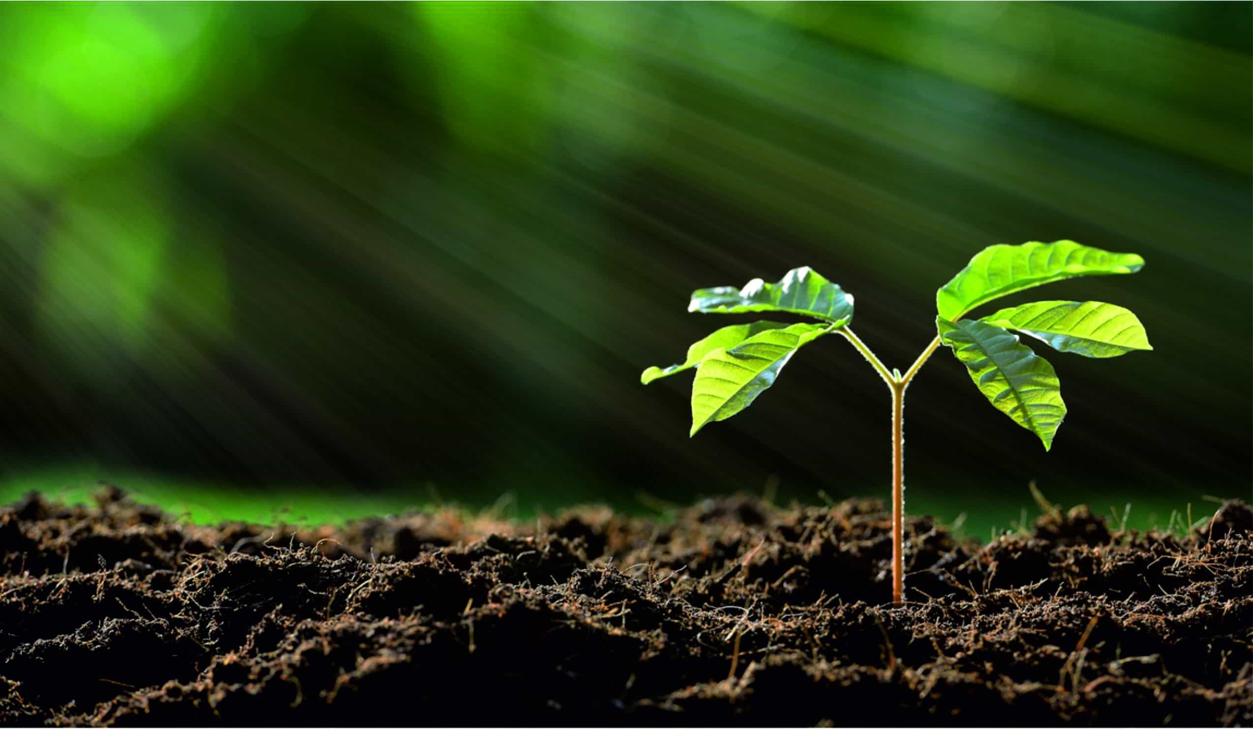 Heritage Eco Solutions